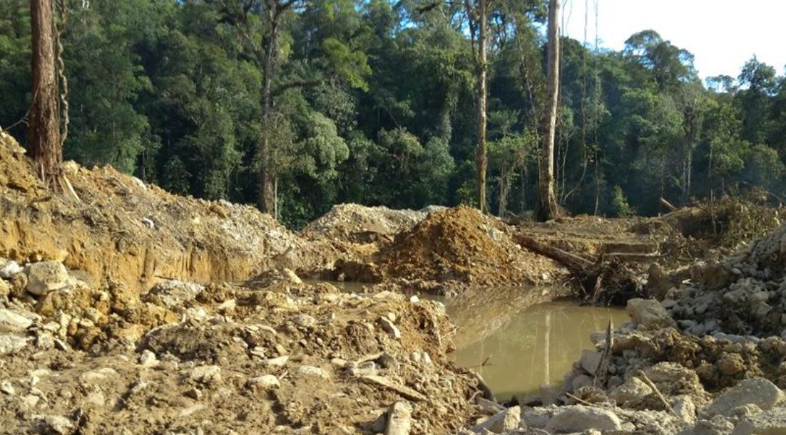 Tambang Emas Penyebab Utama Kerusakan Masif Hutan Geumpang Pidie