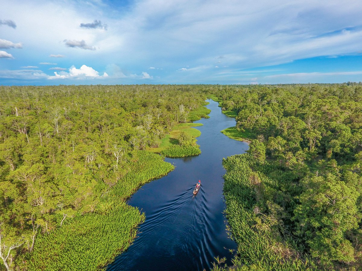 Pesona Rawa Singkil, Hutan Gambut yang Seolah Tak Berujung