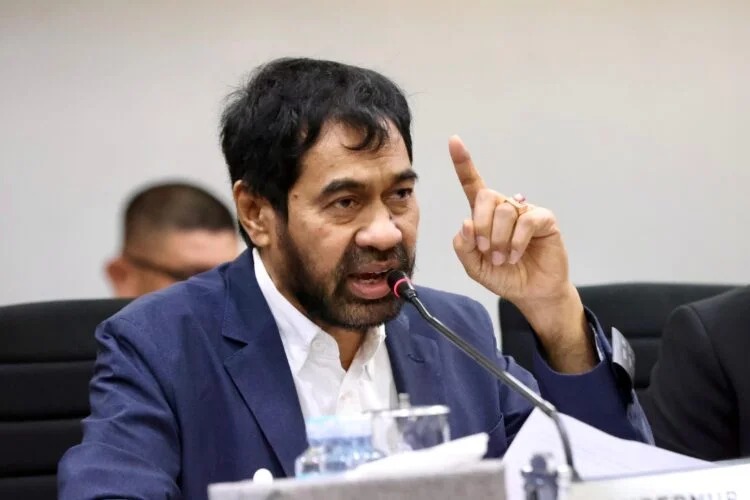 Mualem: Dalam Waktu Dua Minggu Semua Ekskavator Harus Keluar dari Hutan ...