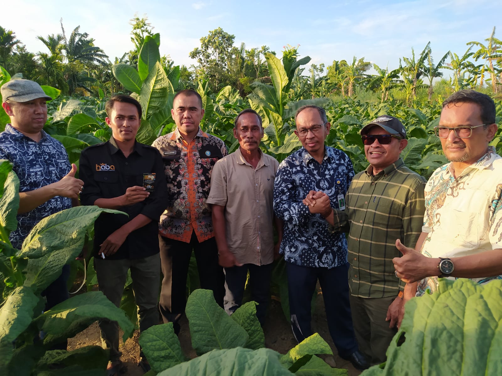 Budidaya dan Industri Hasil Tembakau Berpeluang Jadi Alat Pembangkit ...